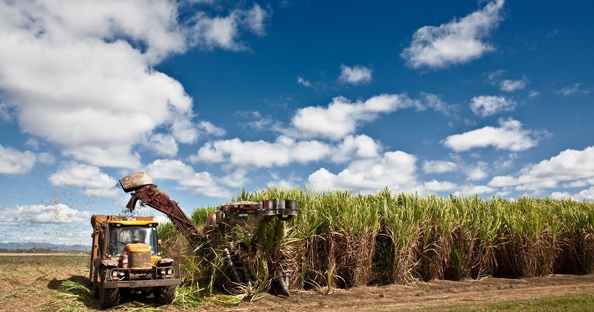 American BioCarbon, an Earth to Energy Project, Successfully Achieves ...